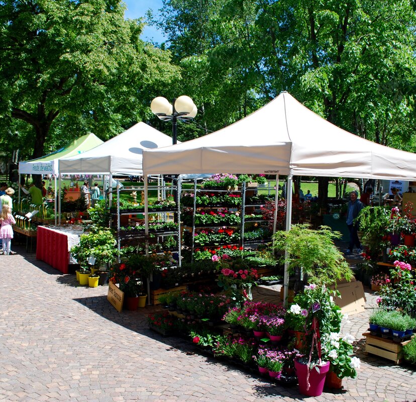 7 Secrets for a Successful Market Tent Setup