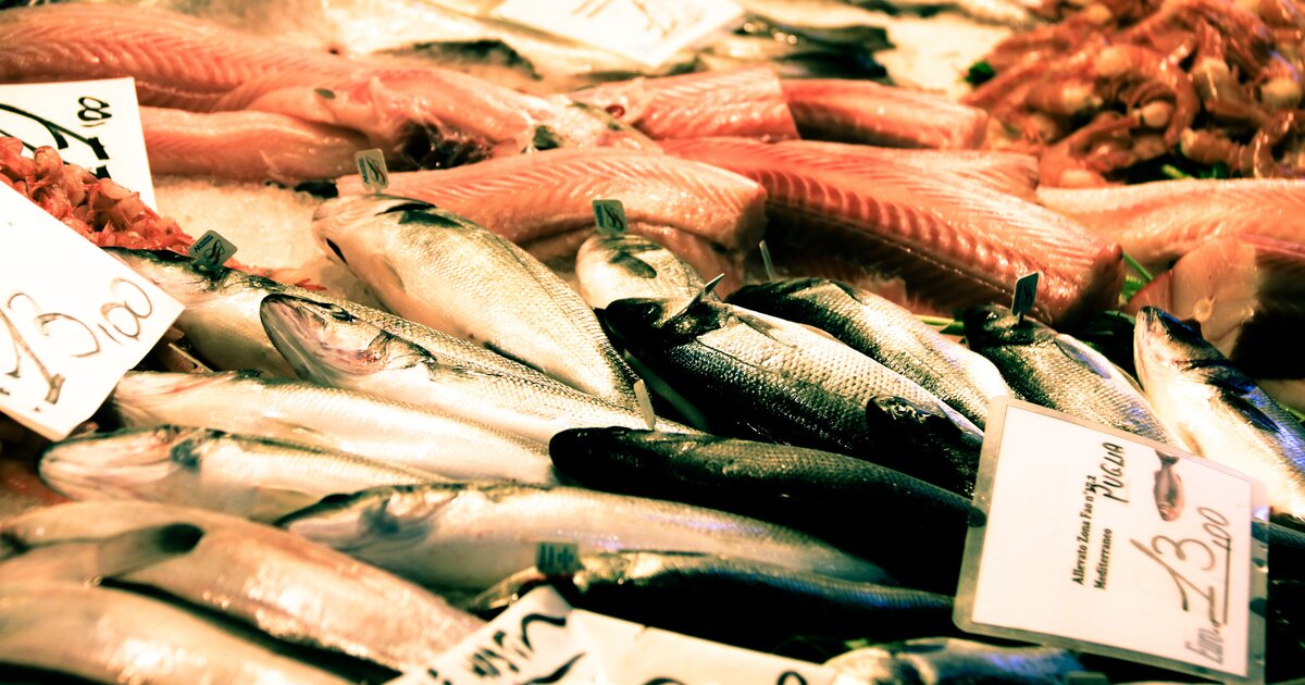 Giovanni Hard Work at the Fish Market - Professional Tents