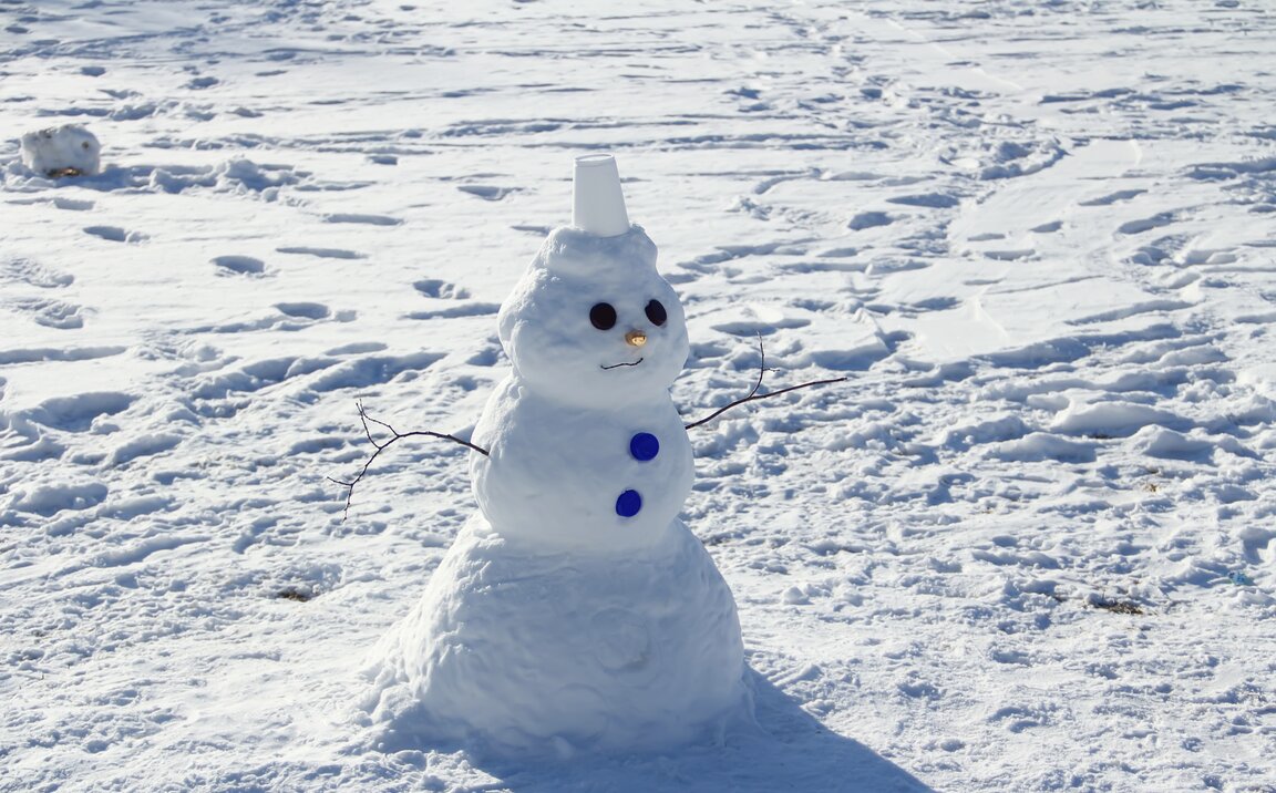 Our Blog: News & Experiences