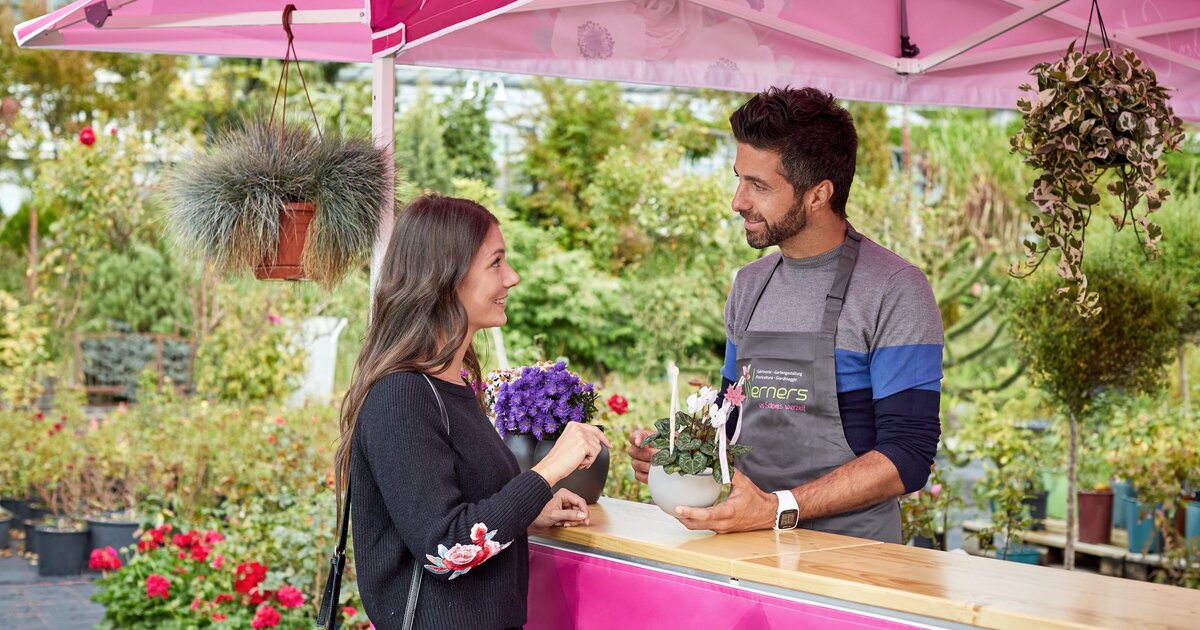 Sturdy Sales Tent for Every Industry - Professional Tents