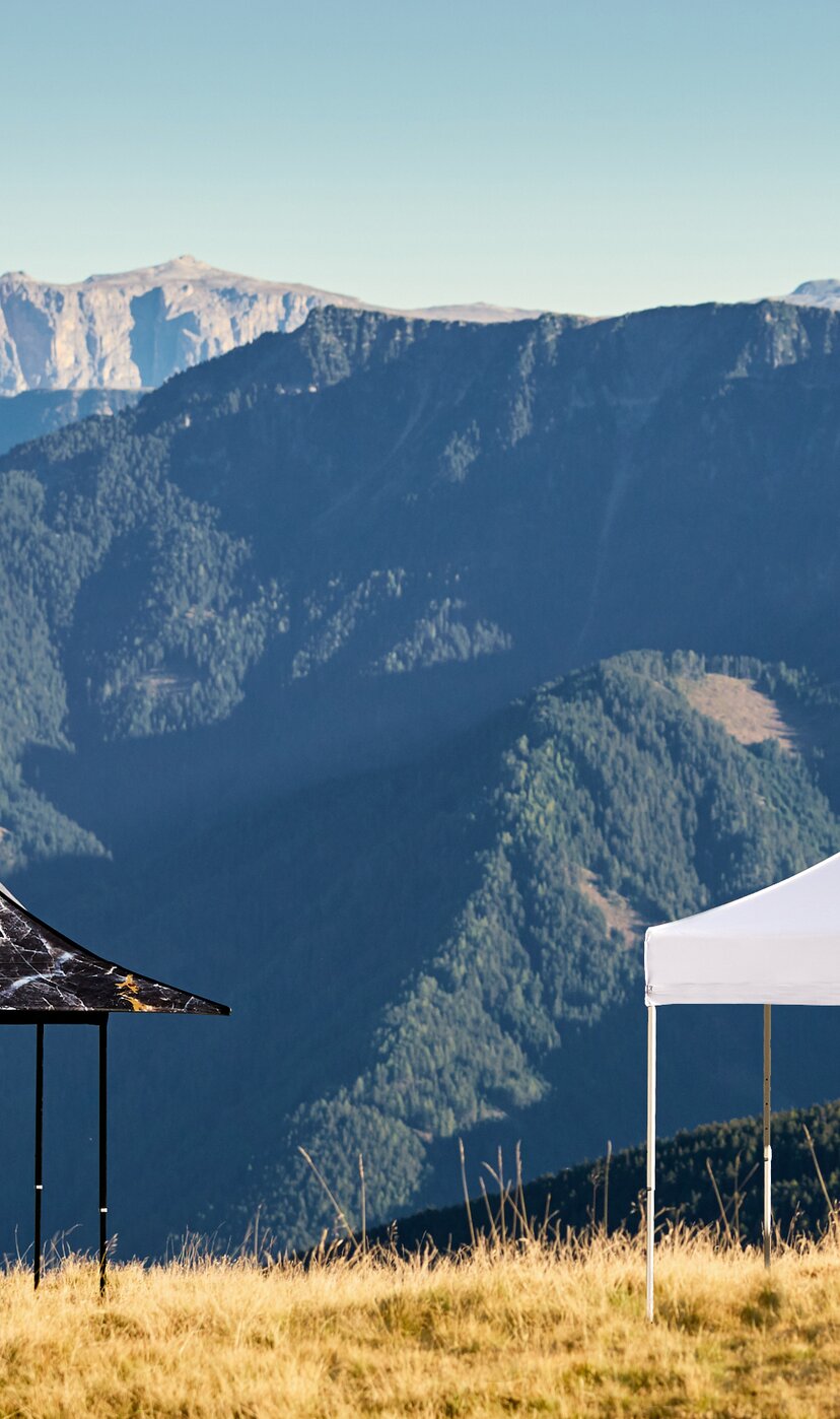 Professional Canopy Tents: 3 Quality Series | Mastertent®