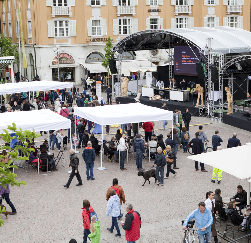 Canopy Tents for Professional Use | Mastertent®